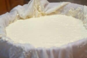 Cream Cheese From Scratch - Served From Scratch