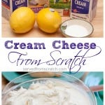 Cream Cheese From Scratch - Served From Scratch