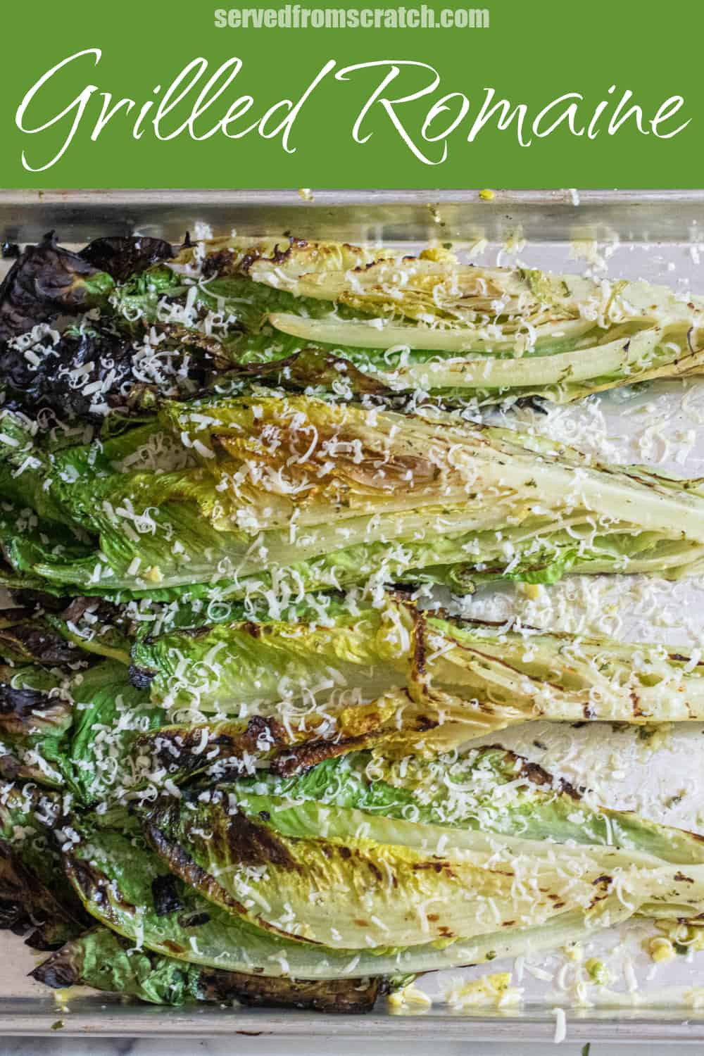 Grilled Romaine - Served From Scratch