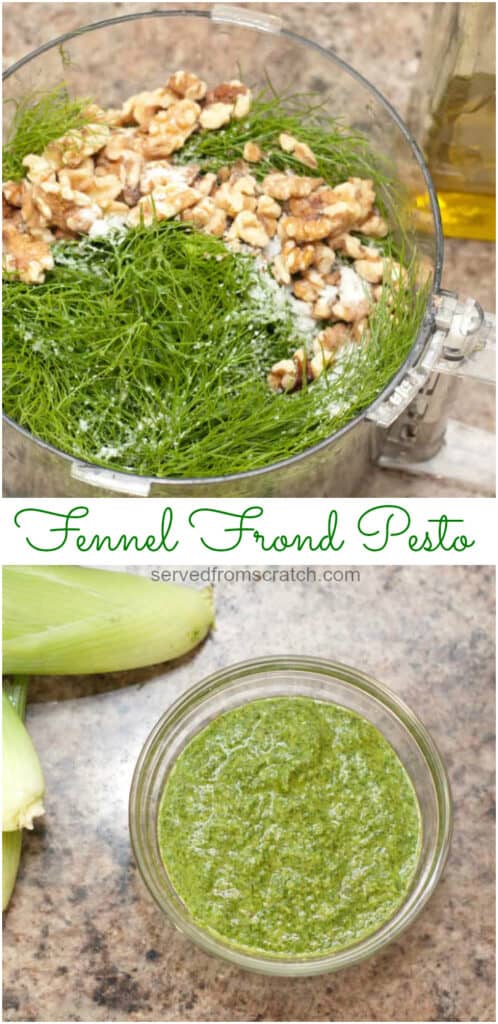 Fennel Frond Pesto - Served From Scratch