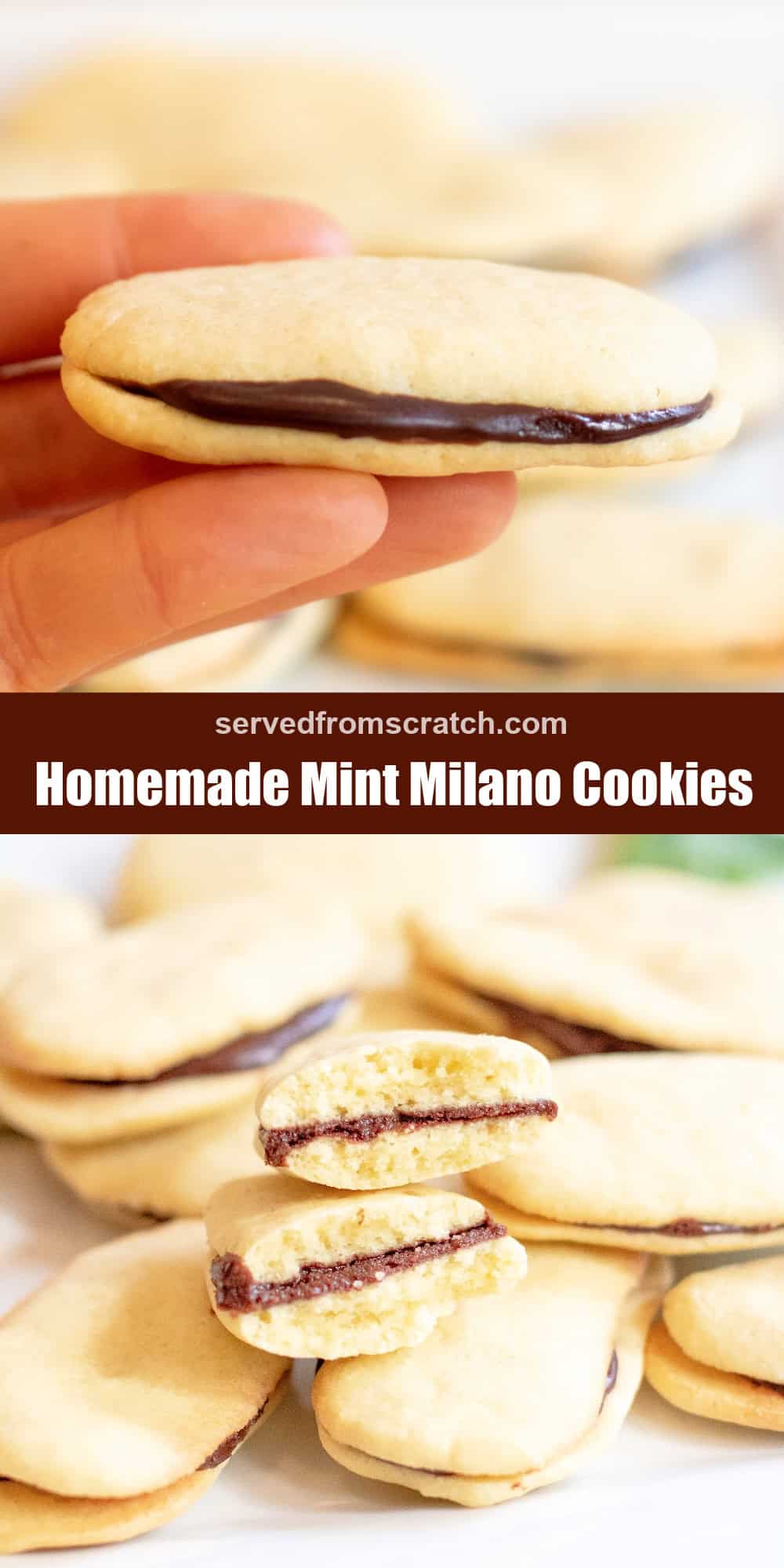 Homemade Mint Milano Cookies - Served From Scratch