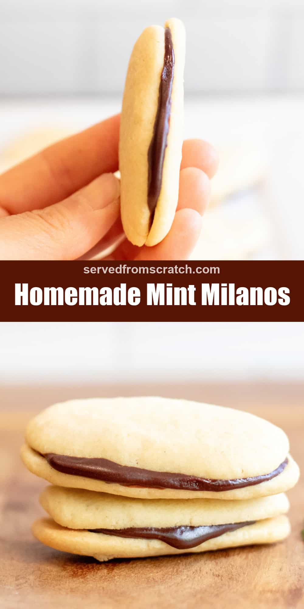 Homemade Mint Milano Cookies - Served From Scratch