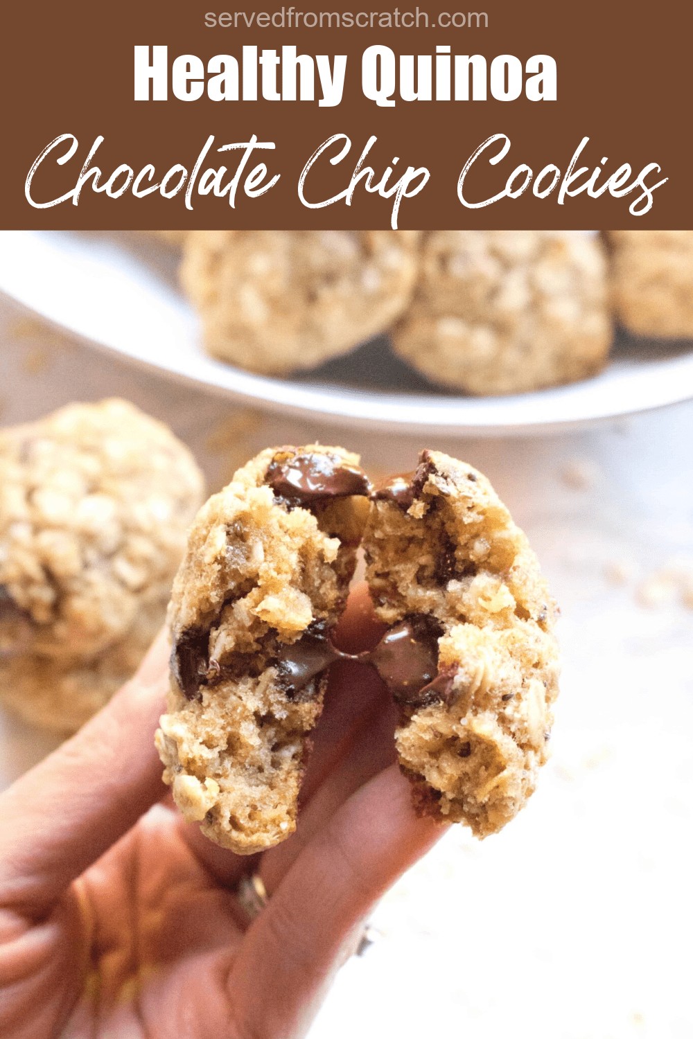 Oatmeal Quinoa Chocolate Chip Cookies - Served From Scratch