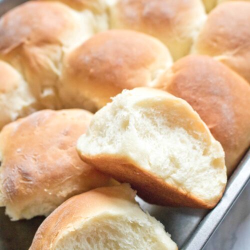 Easy Dinner Rolls From Scratch - Served From Scratch