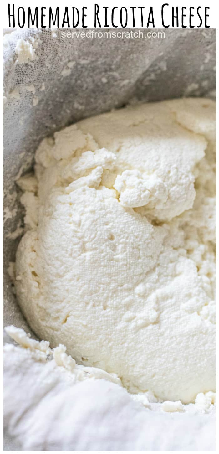 Ricotta Cheese from Scratch - Served From Scratch