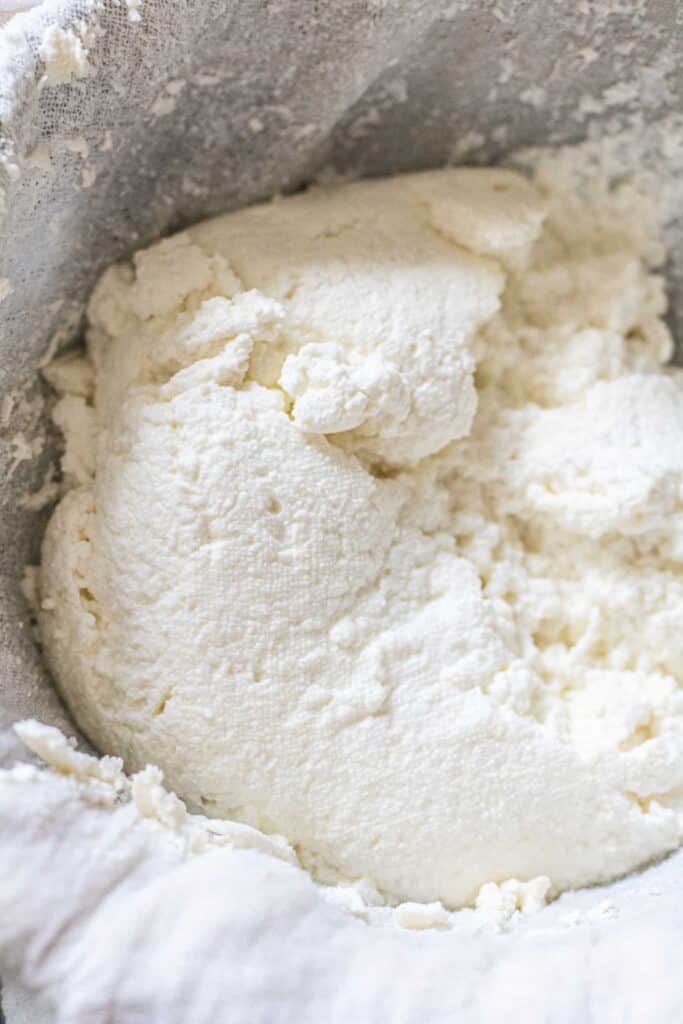 Cream Cheese From Scratch - Served From Scratch