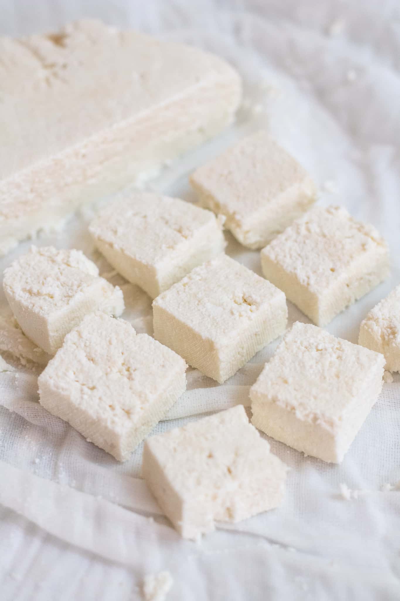 Homemade Paneer - Served From Scratch