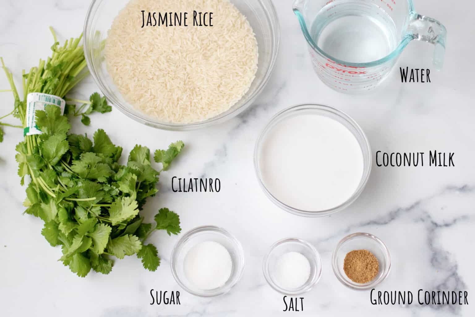 Coconut Jasmine Rice - Served From Scratch