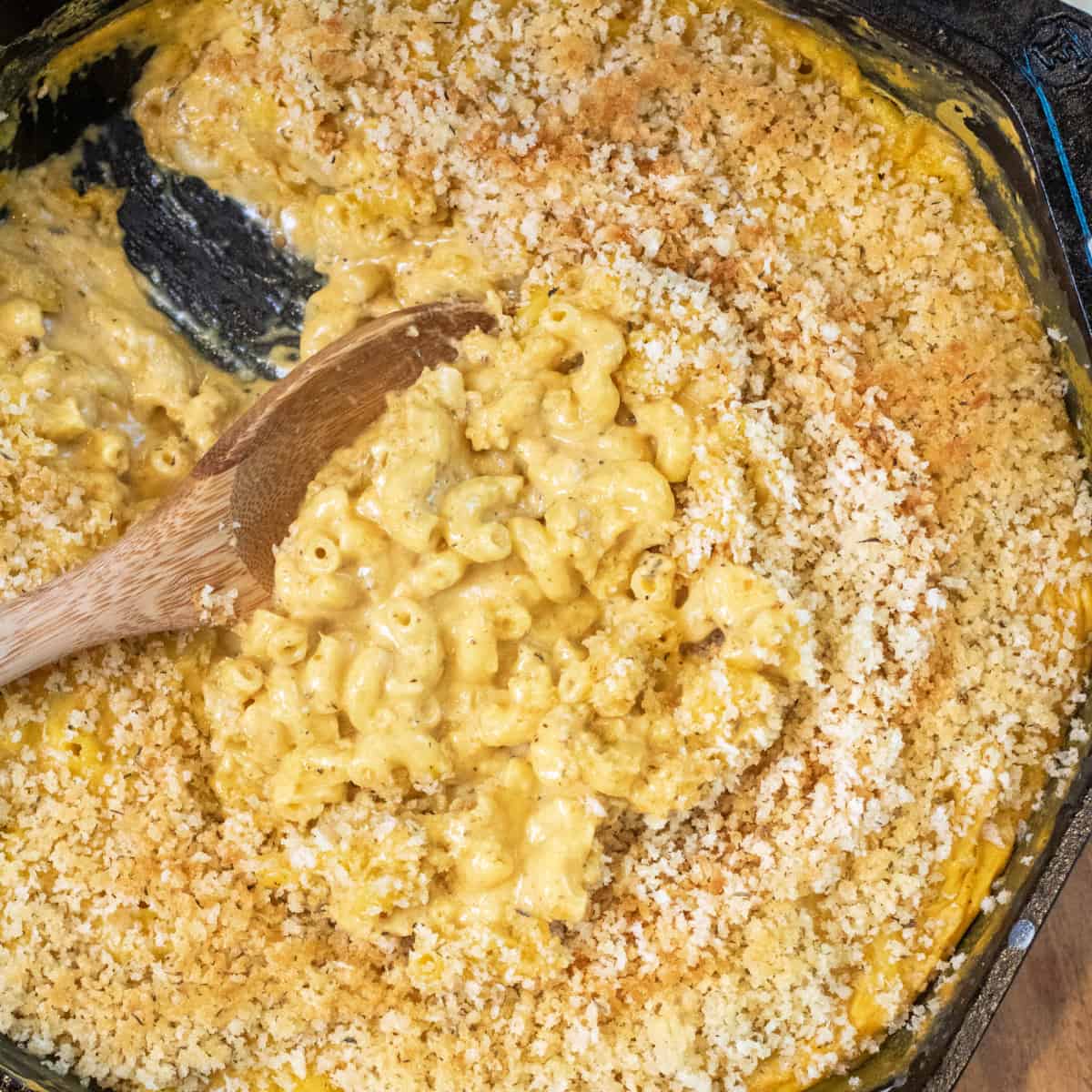 Pumpkin Mac n Cheese - Served From Scratch
