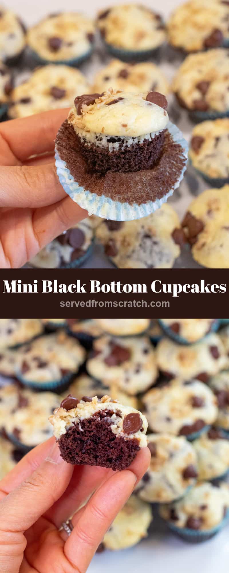 Mini Black Bottom Cupcakes - Served From Scratch