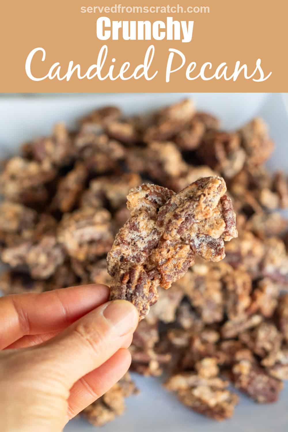 Crunchy Candied Pecans - Served From Scratch