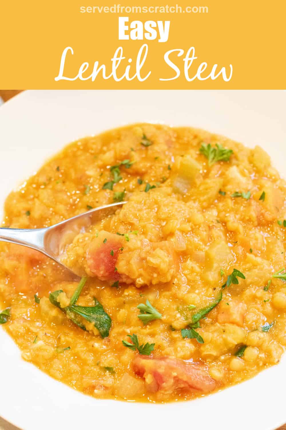 Easy Lentil Stew - Served From Scratch