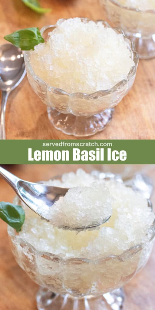 Lemon Basil Ice - Served From Scratch